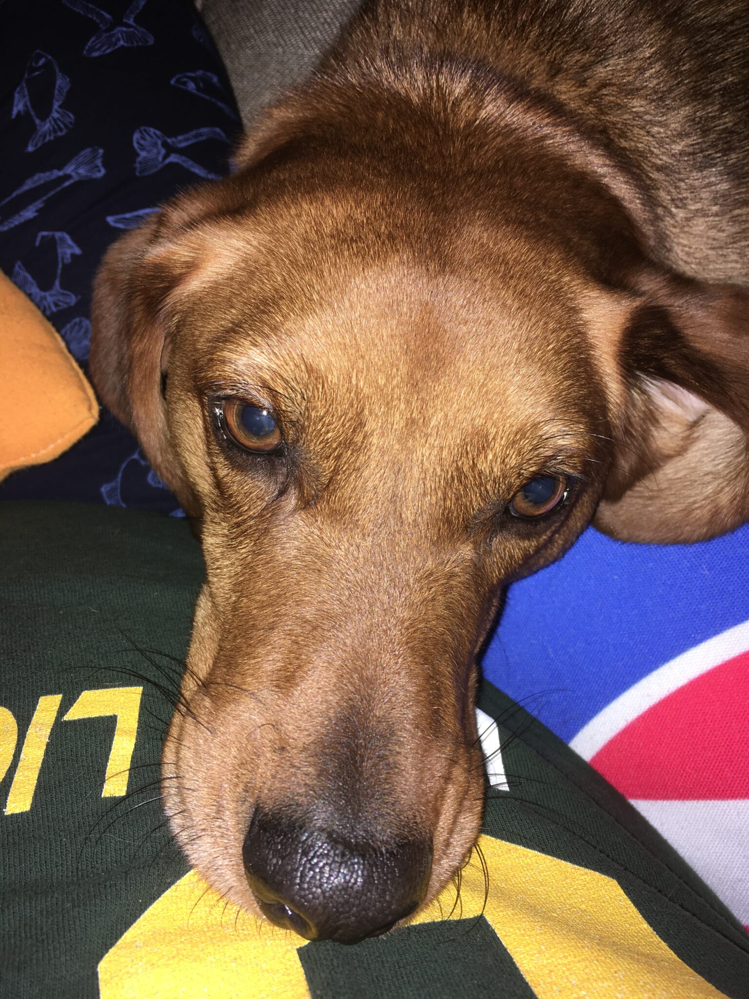 Town of Oakland, Jefferson County, Wisconsin | Official Website of the ...